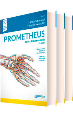 Prometheus. Texto y Atlas de Anatomía 3 tomos: Anatomía General y